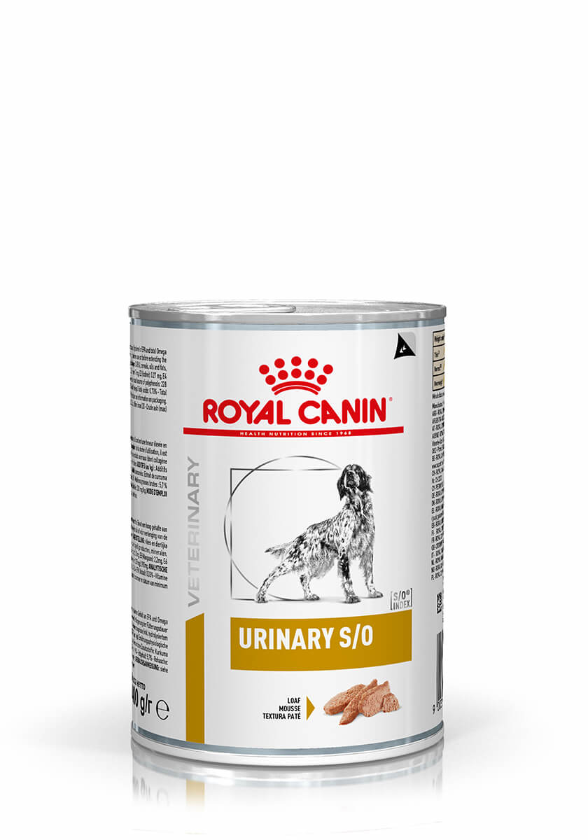 Urinary S/O Canine - Portal Vet | Royal Canin