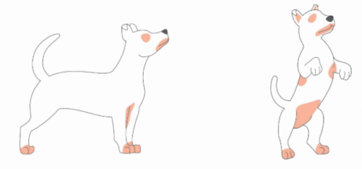 Dermatite atópica canina: um desafio na clínica veterinária