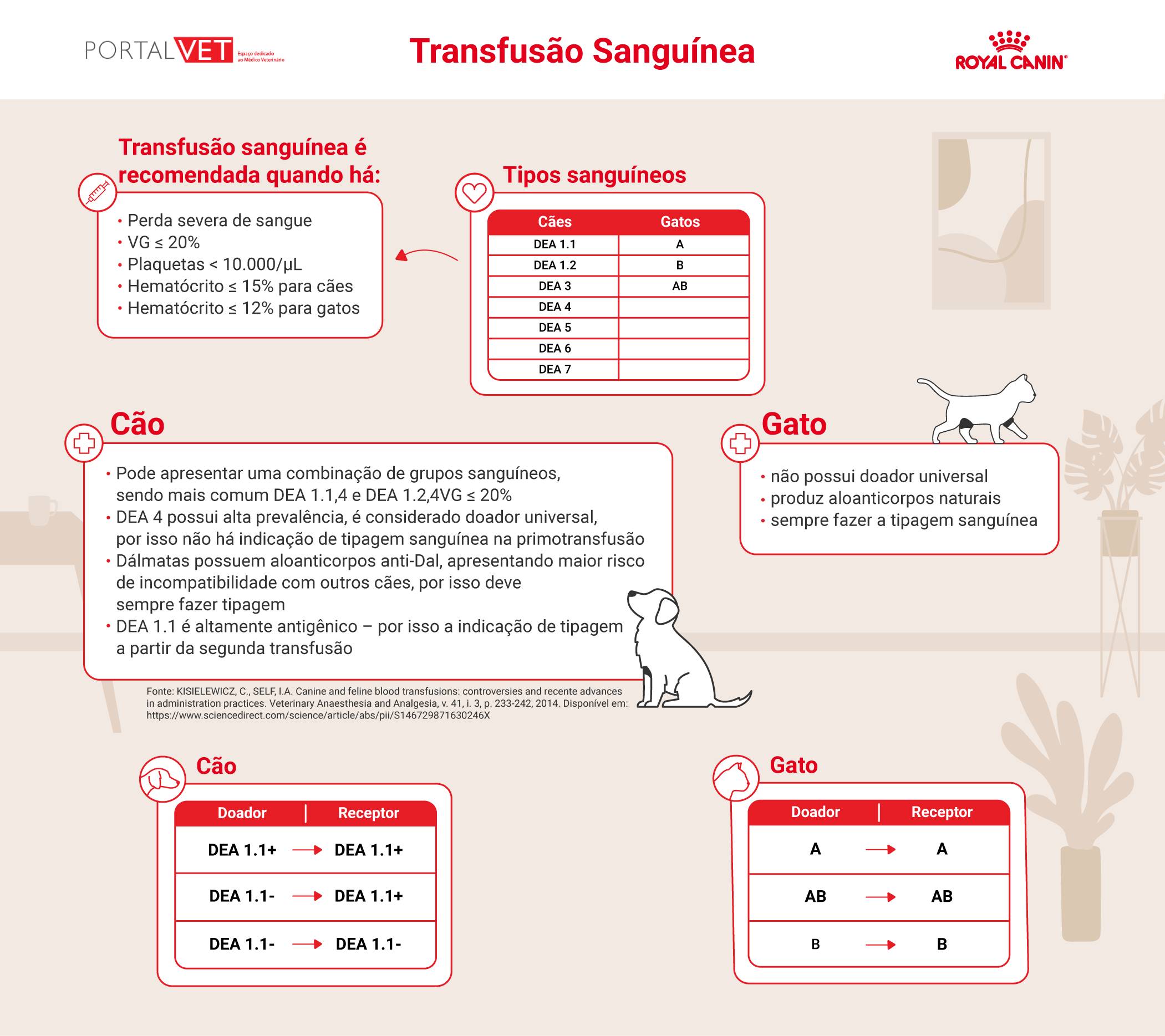 Entendendo a transfusão sanguínea em cães e gatos