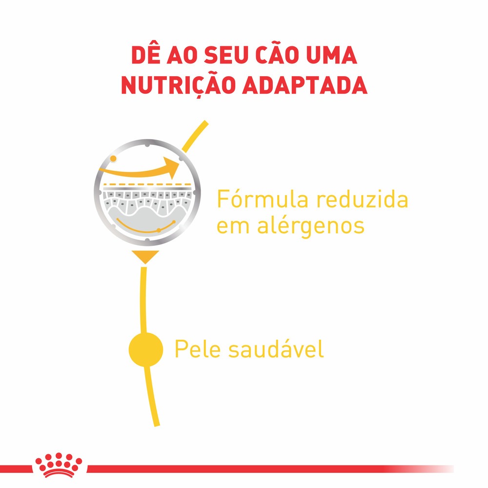 Dermaconfort - Patê - Portal Vet | Royal Canin