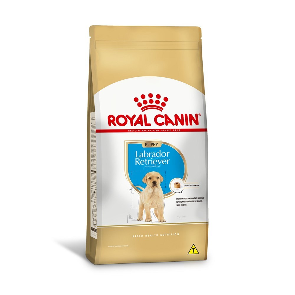 Labrador Retriever Puppy - Portal Vet | Royal Canin
