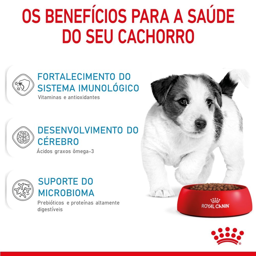 Mini Puppy - Portal Vet | Royal Canin